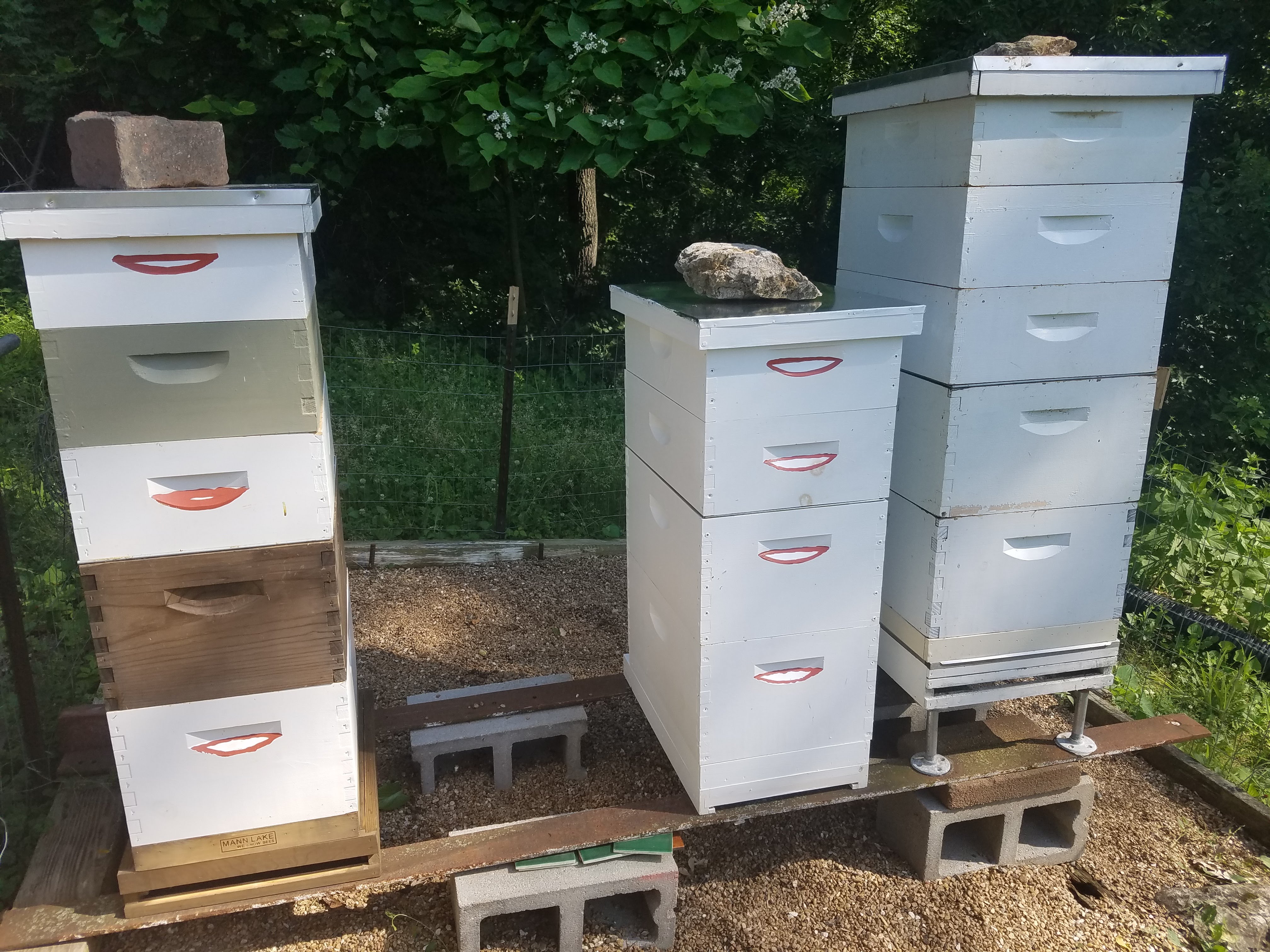 Honey Supers For All – Walberg Heights Apiary Tales